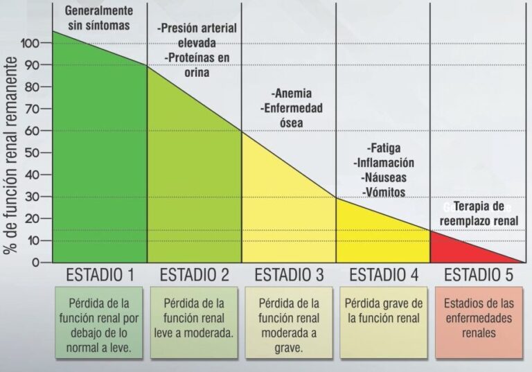 Estadios de la enfermedad renal crónica